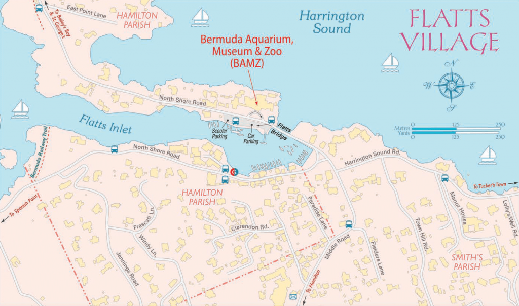 Flatts-village – Visit Bermuda