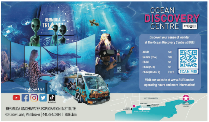 OCEAN DISCOVERY CENTRE @ BUEI – Visit Bermuda